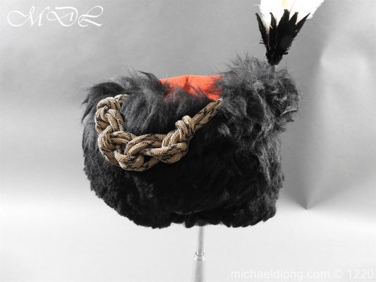 Imperial German M1883 Officer’s Busby of the 17th Brunswick Hussars ...